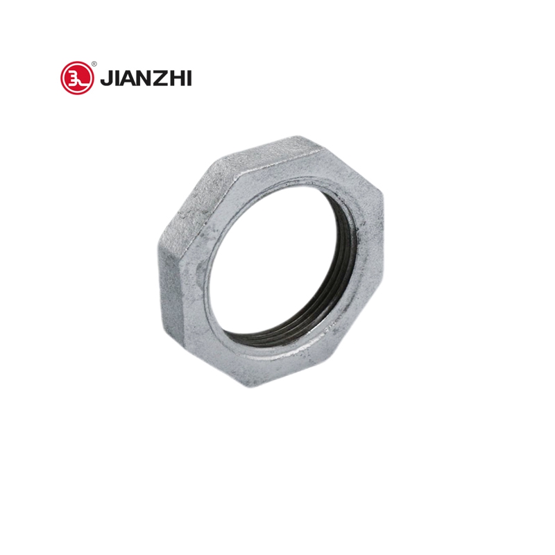 Manufacture GI Fittings Pipe Back Nut